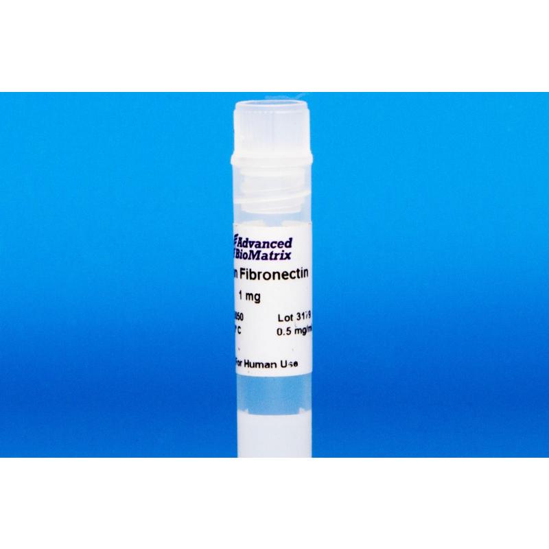 Advanced BioMatrix - Fibronectin, Solution, 0.5 mg/ml (human) #5050